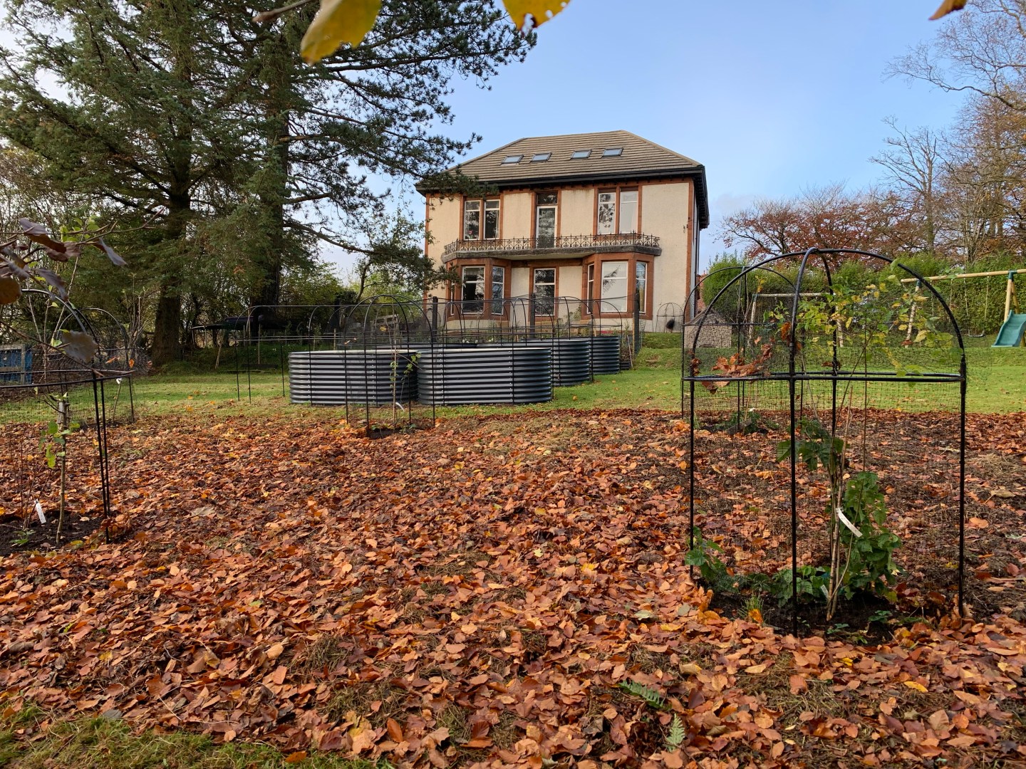 Mulch in Gardening: What It Is, Why It’s Used and How to Choose the ...