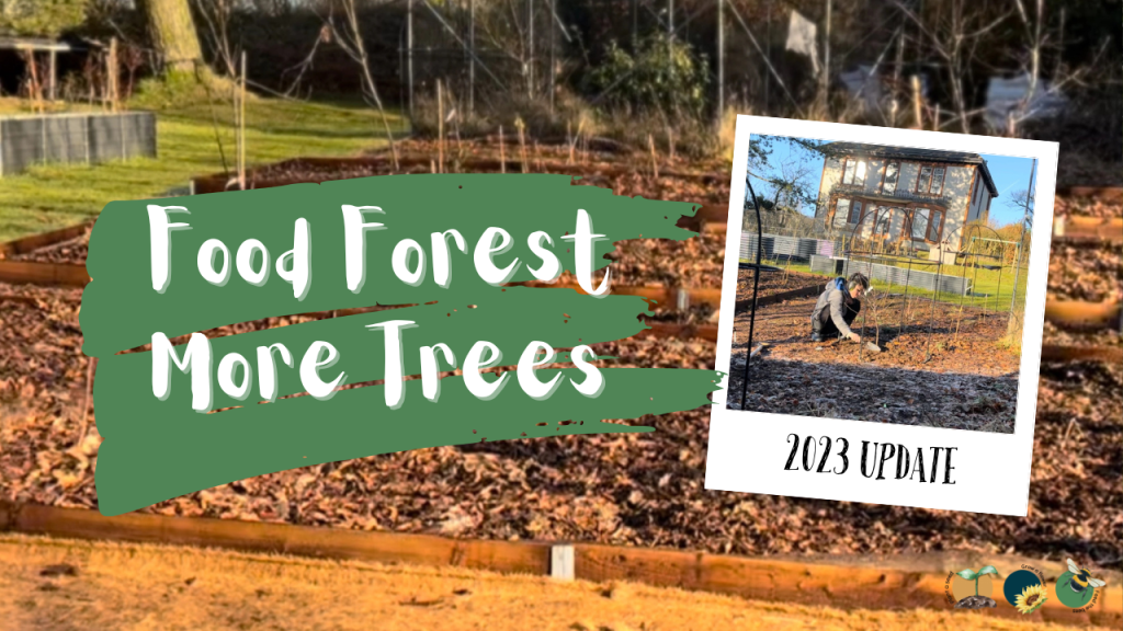 Food Forest Update: New Fruit Trees Planted for 2023 – Building a Food ...