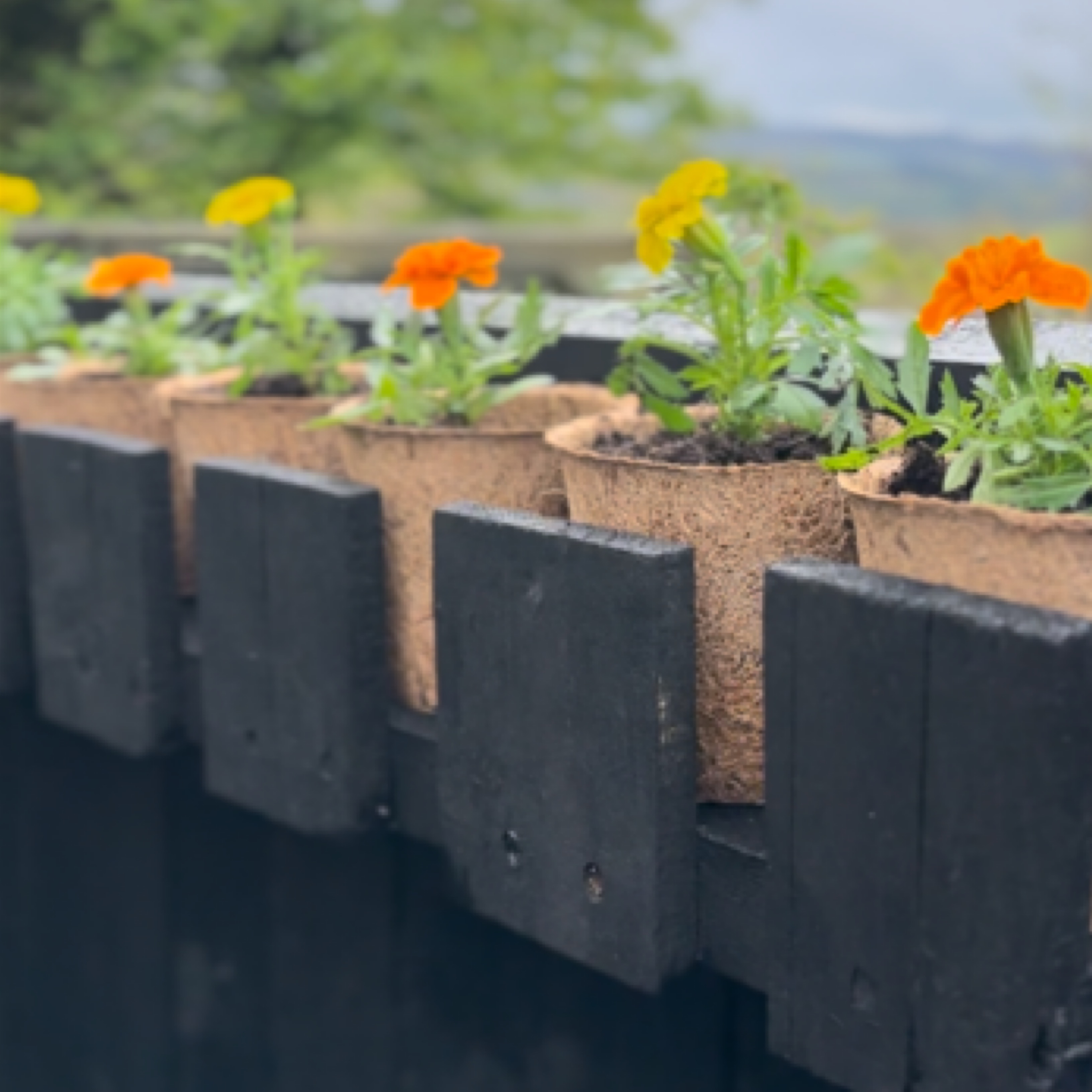 How We Use Coir Erosion Sheeting – Building a Food Forest -Scotland