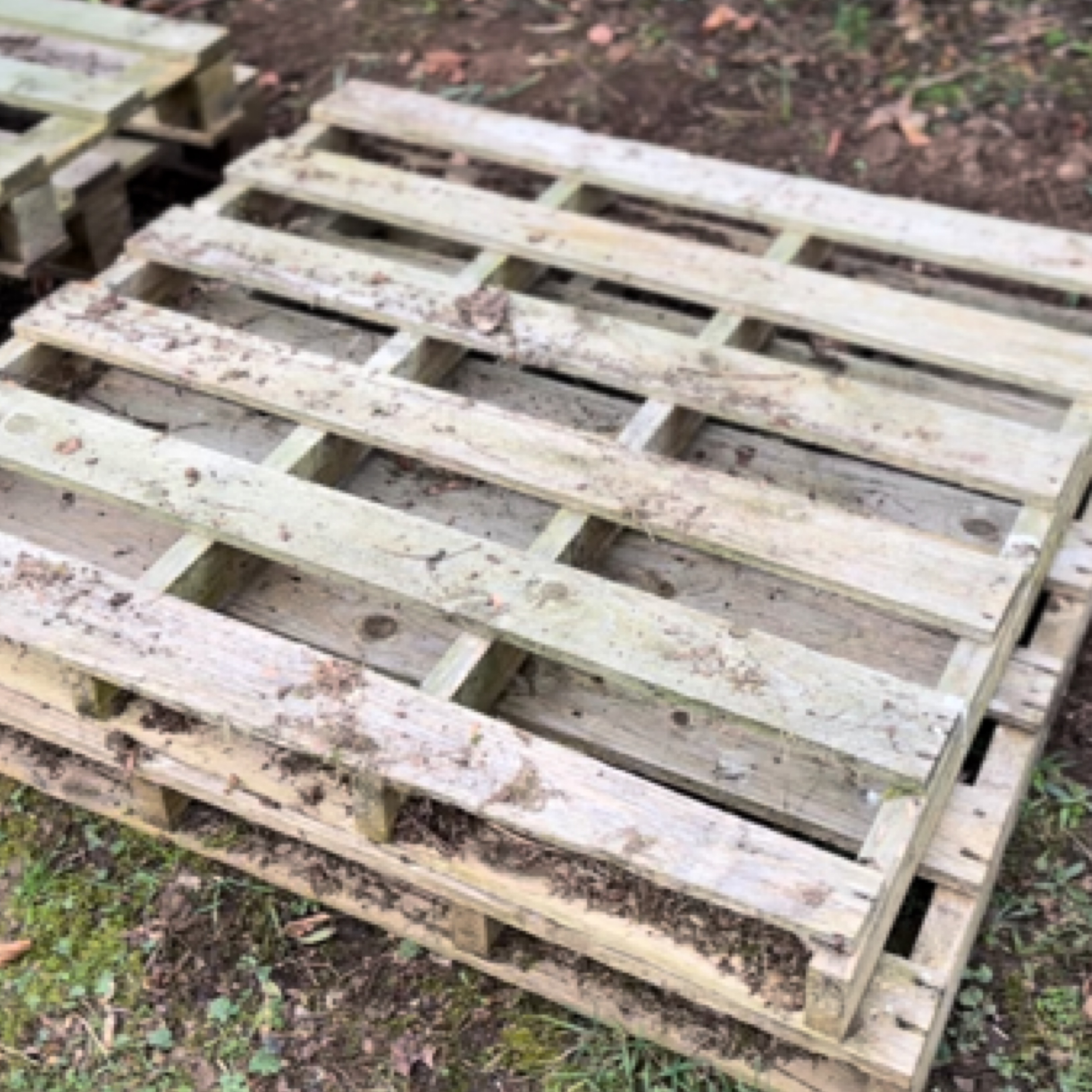 DIY: Building Raspberry Support Structures From Pallets – Building a ...