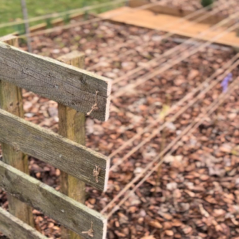 DIY: Building Raspberry Support Structures From Pallets – Building a ...