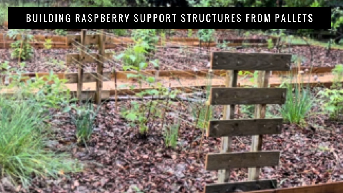DIY: Building Raspberry Support Structures From Pallets – Building a ...