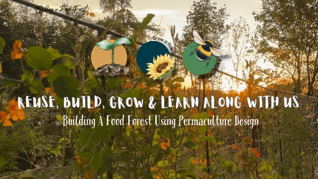 Guides to the Fruits, Herbs & Edible Flowers We Grow: Cultivation, Care ...