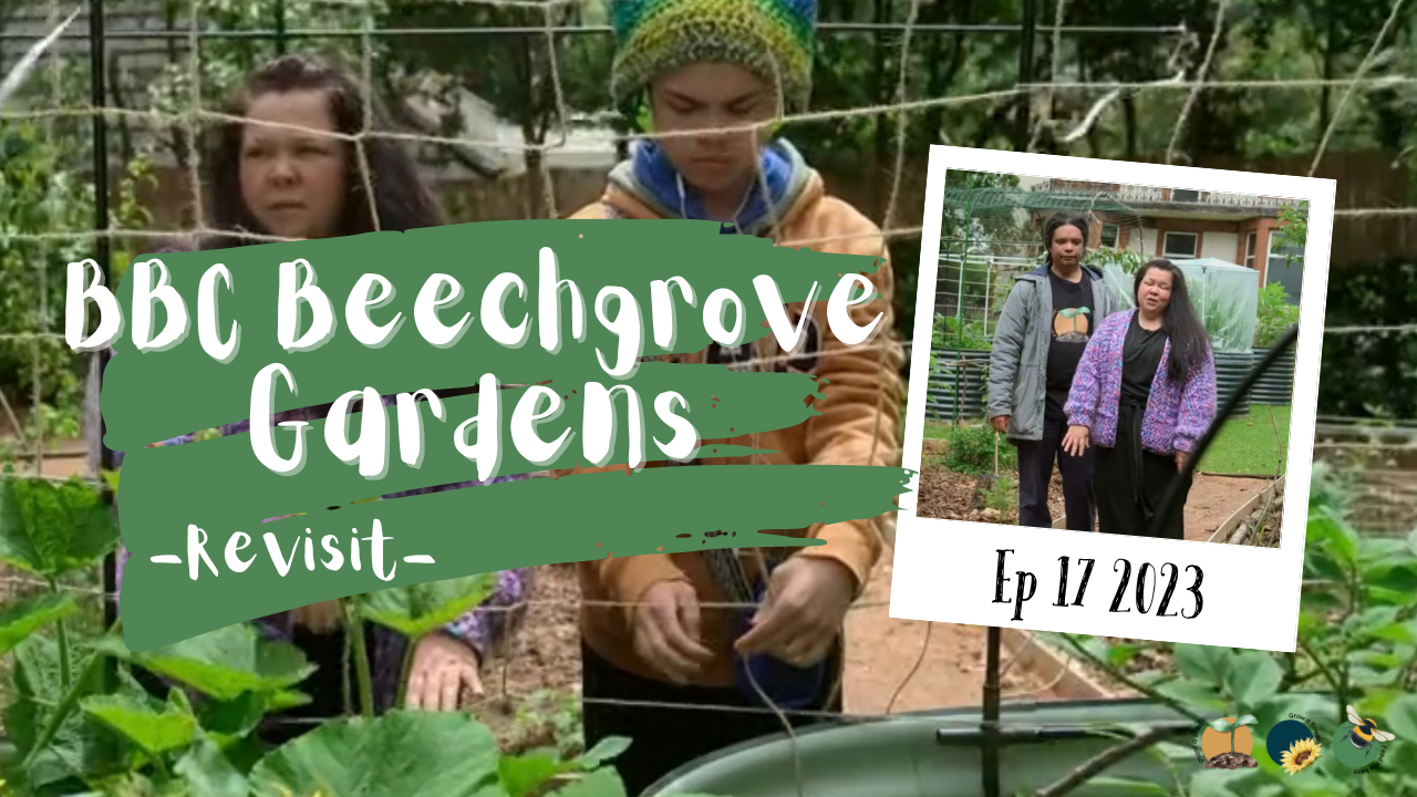 TV: BBC Beechgrove Garden 2023 Episode 17 – Katrina & Peter Gelderbloem ...