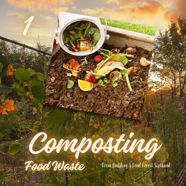Spring Garden: Easy Composting Solutions – Building a Food Forest -Scotland