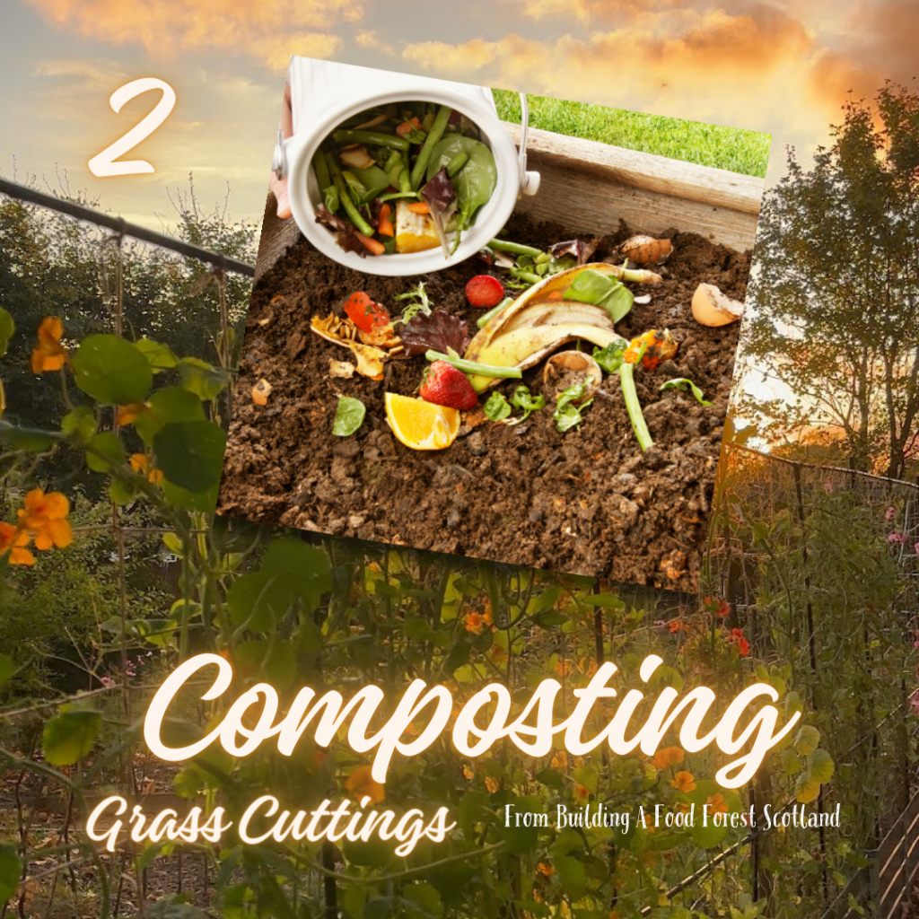 Spring Garden: Easy Composting Solutions – Building a Food Forest -Scotland