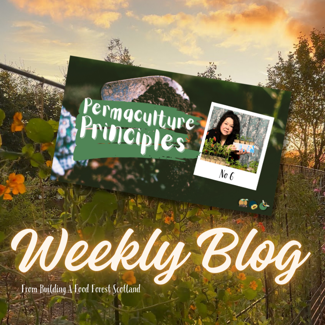 Permaculture Principle No. 7 is “Design From Patterns To Details ...