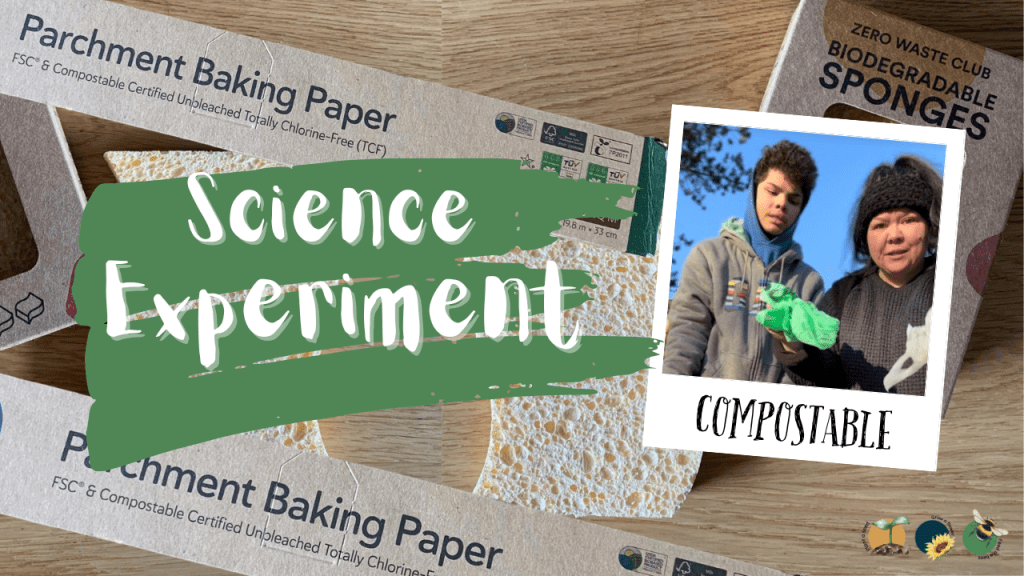 Science Experiment: Does 100% Home Compostable Items Actually Compost ...