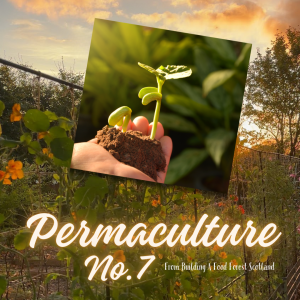Permaculture Principle No. 7 is “Design From Patterns To Details ...