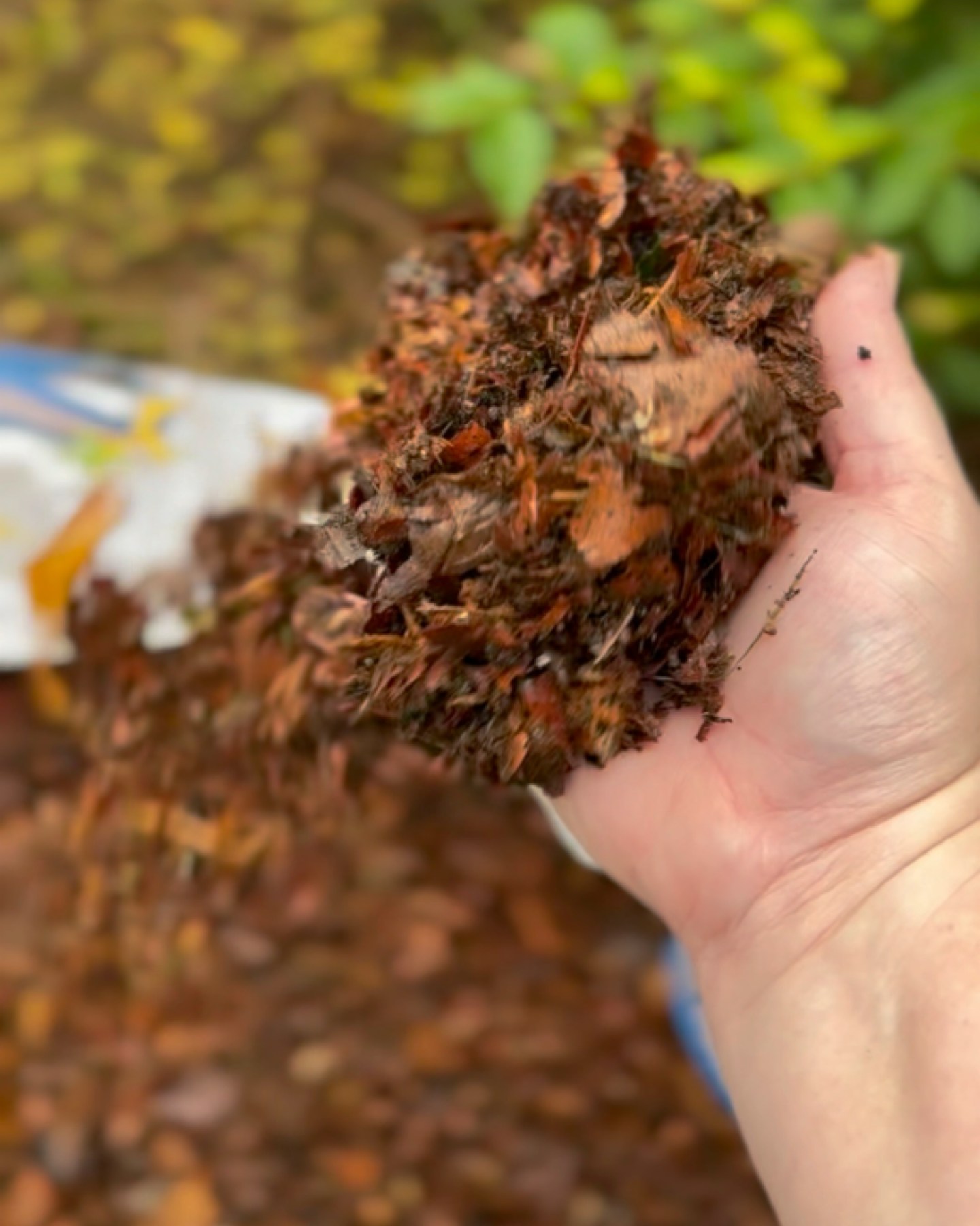 Mulch in Gardening: What It Is, Why It’s Used and How to Choose the ...