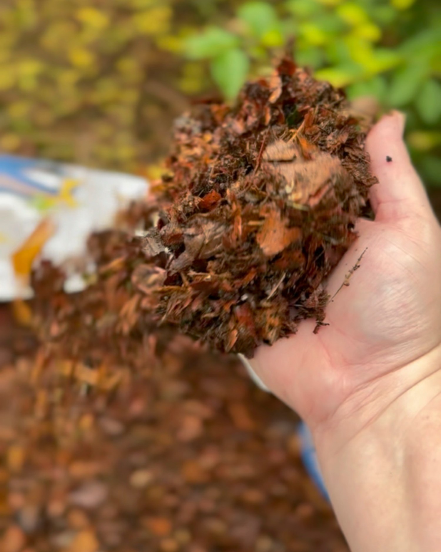 Mulch in Gardening: What It Is, Why It’s Used and How to Choose the ...