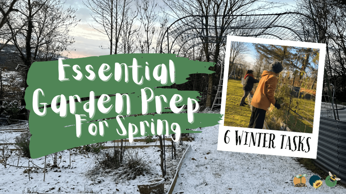 Winter Garden Prep: 6 Essential Clean Up Activities for a Thriving ...