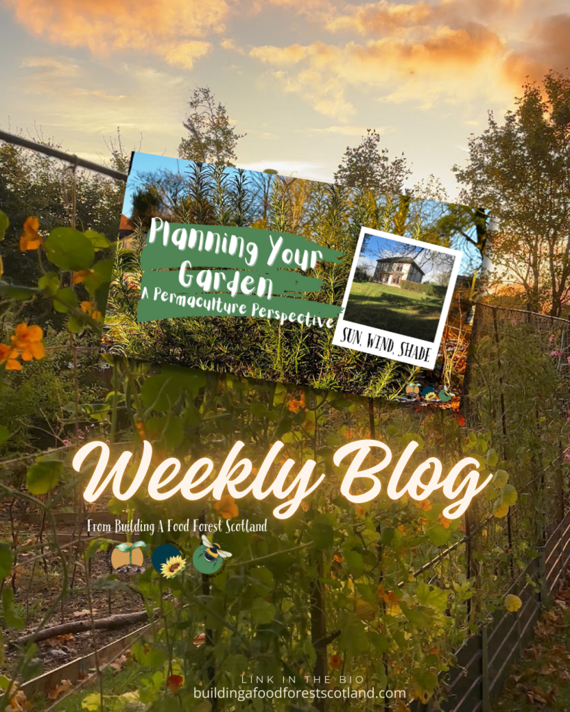 Planning Your Garden Based on Sun, Wind and Shade: A Permaculture ...