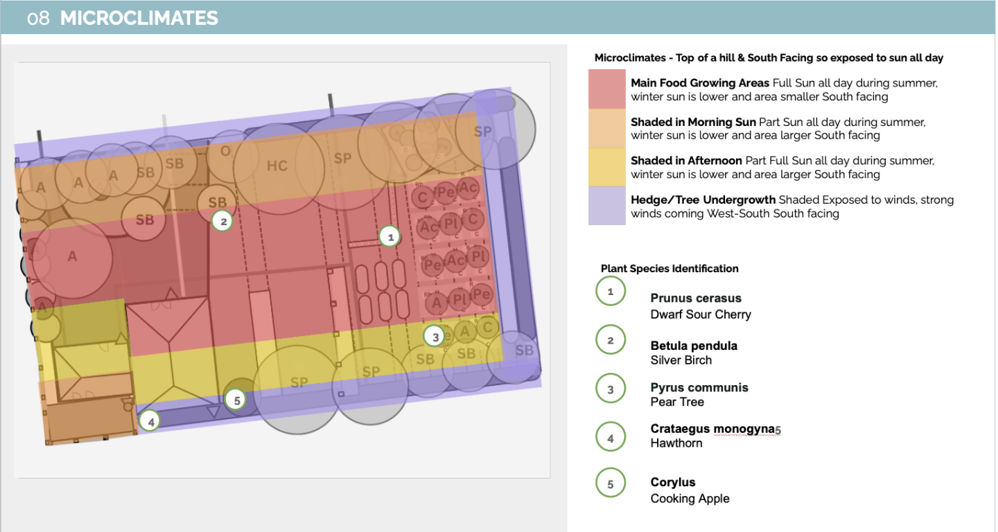 Planning Your Garden Based on Sun, Wind and Shade: A Permaculture ...