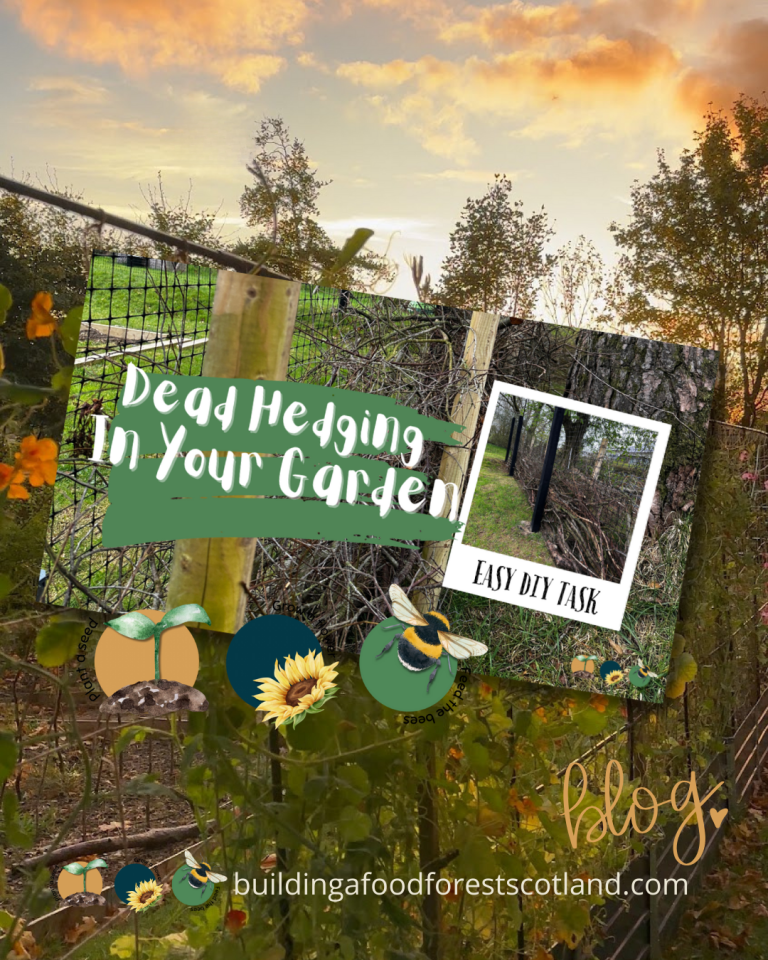 DIY: Dead Hedge- Wildlife Haven, Wind Barrier, and Permaculture ...