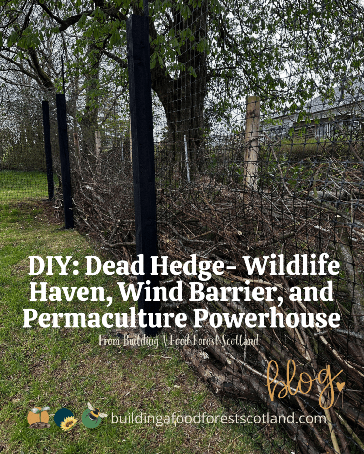 DIY: Dead Hedge- Wildlife Haven, Wind Barrier, and Permaculture ...