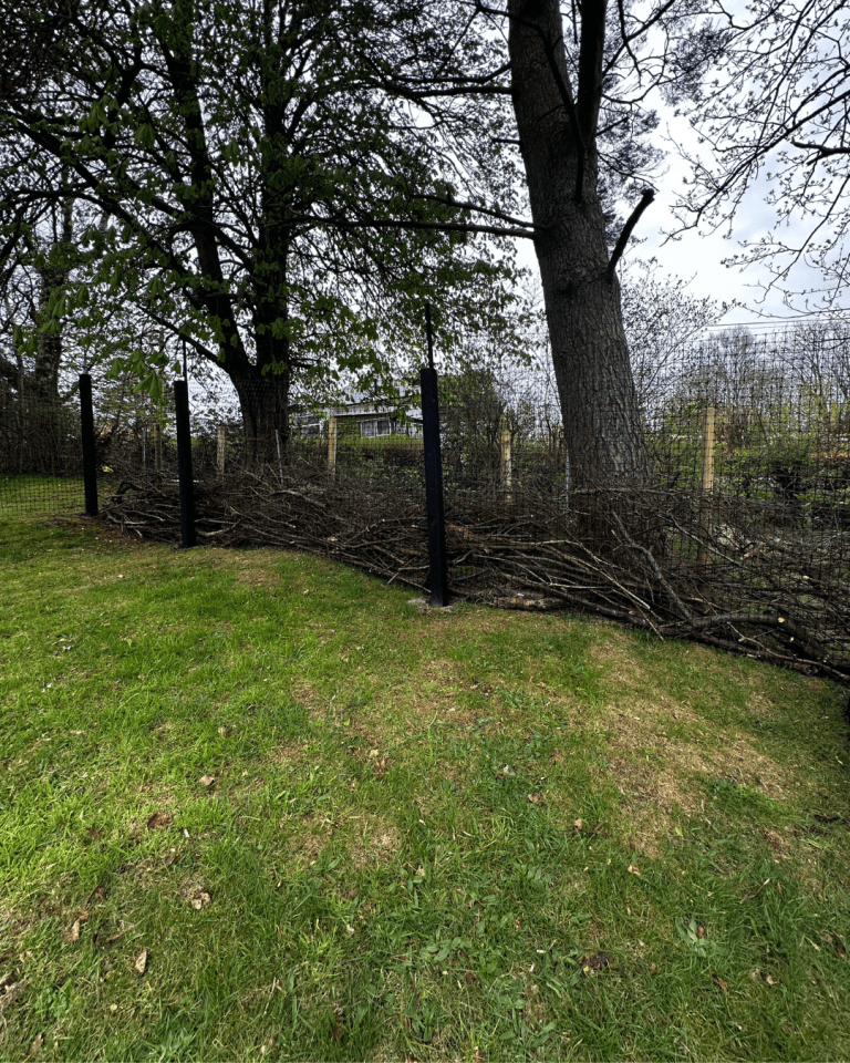 DIY: Dead Hedge- Wildlife Haven, Wind Barrier, and Permaculture ...