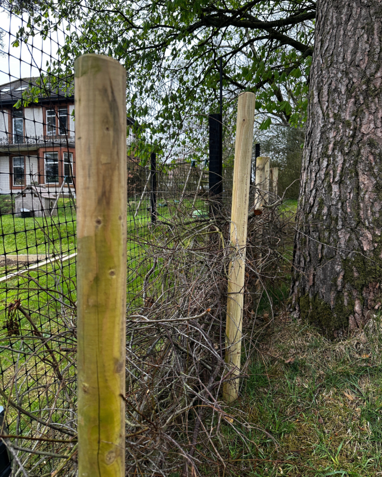 DIY: Dead Hedge- Wildlife Haven, Wind Barrier, and Permaculture ...