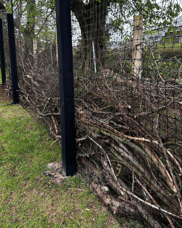 DIY: Dead Hedge- Wildlife Haven, Wind Barrier, and Permaculture ...