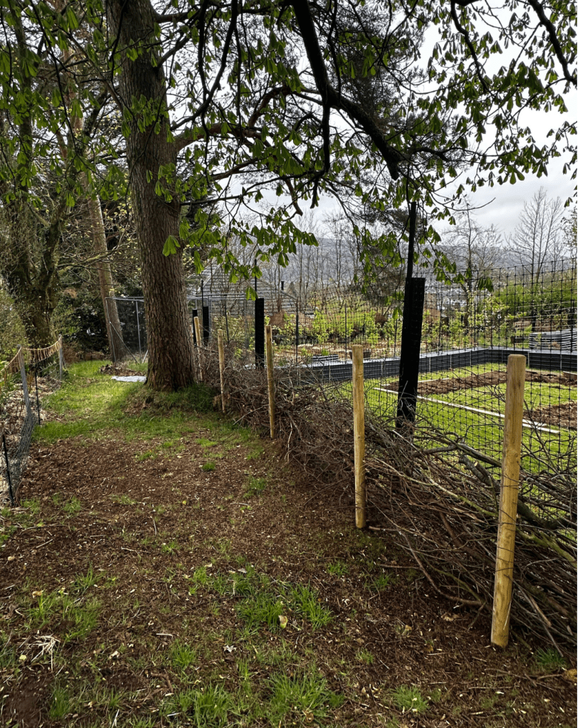 DIY: Dead Hedge- Wildlife Haven, Wind Barrier, and Permaculture ...