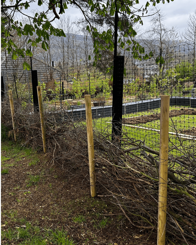DIY: Dead Hedge- Wildlife Haven, Wind Barrier, and Permaculture ...
