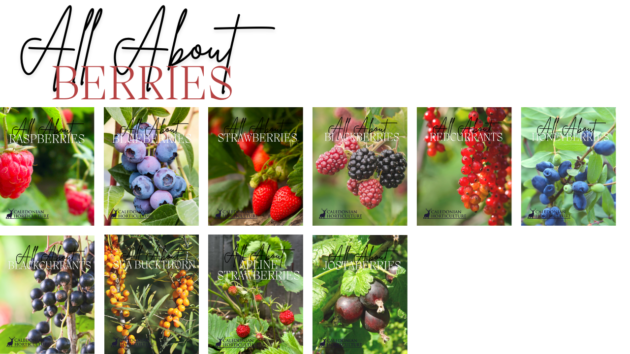 Guides to the Fruits, Herbs & Edible Flowers We Grow: Cultivation, Care ...
