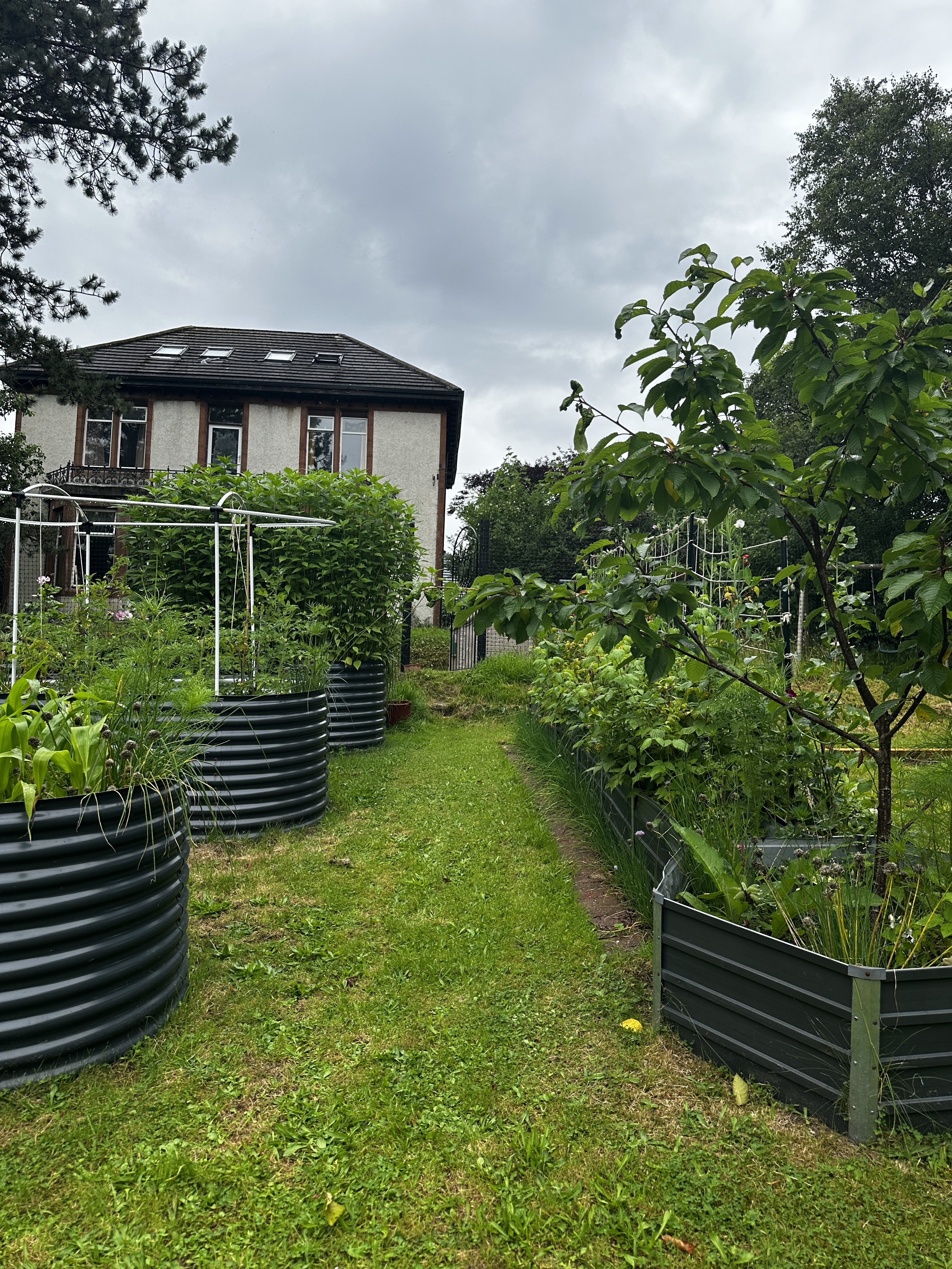 How to Build a Linear Food Forest in a Raised Bed: Small Space ...